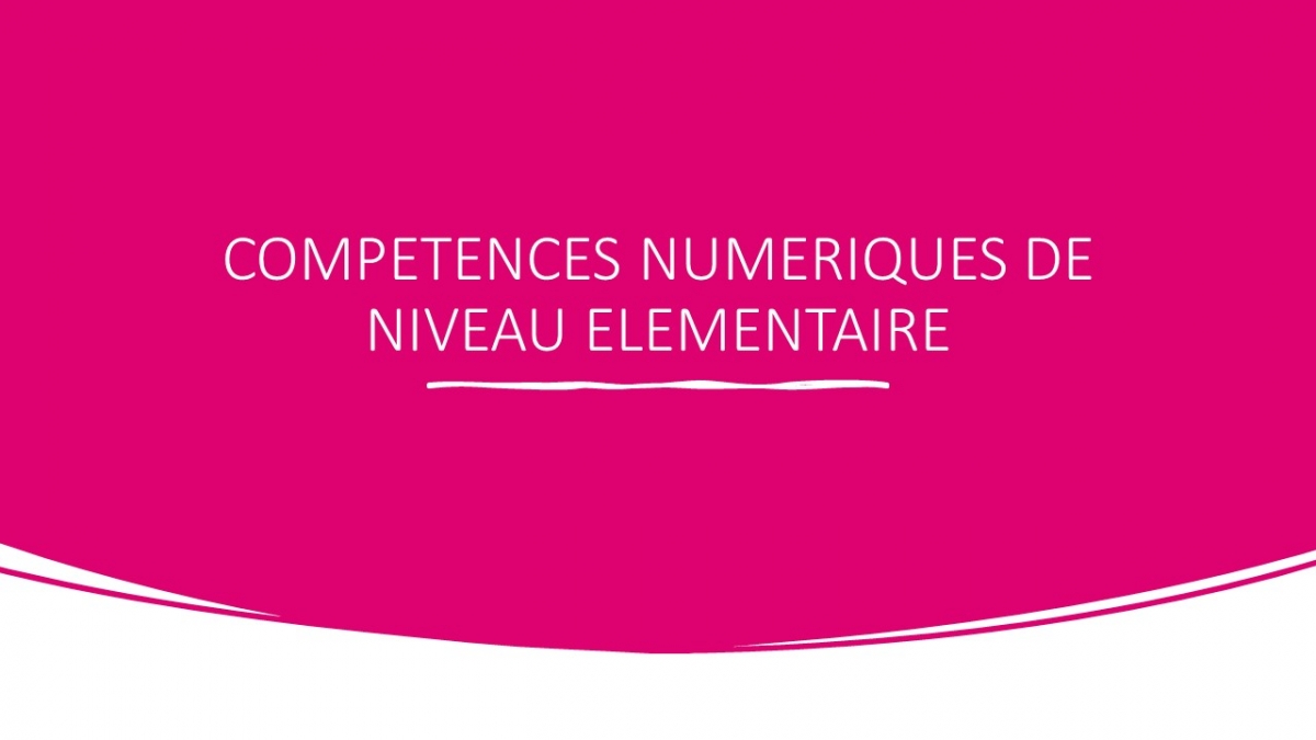 Outilthèque - Compétences numériques de niveau élémentaire | Instance ...